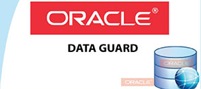 Oracle Data Guard Online Training