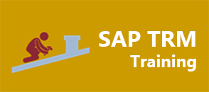 SAP Treasury and Risk Management TRM online training in Hyderabad | SAP ...